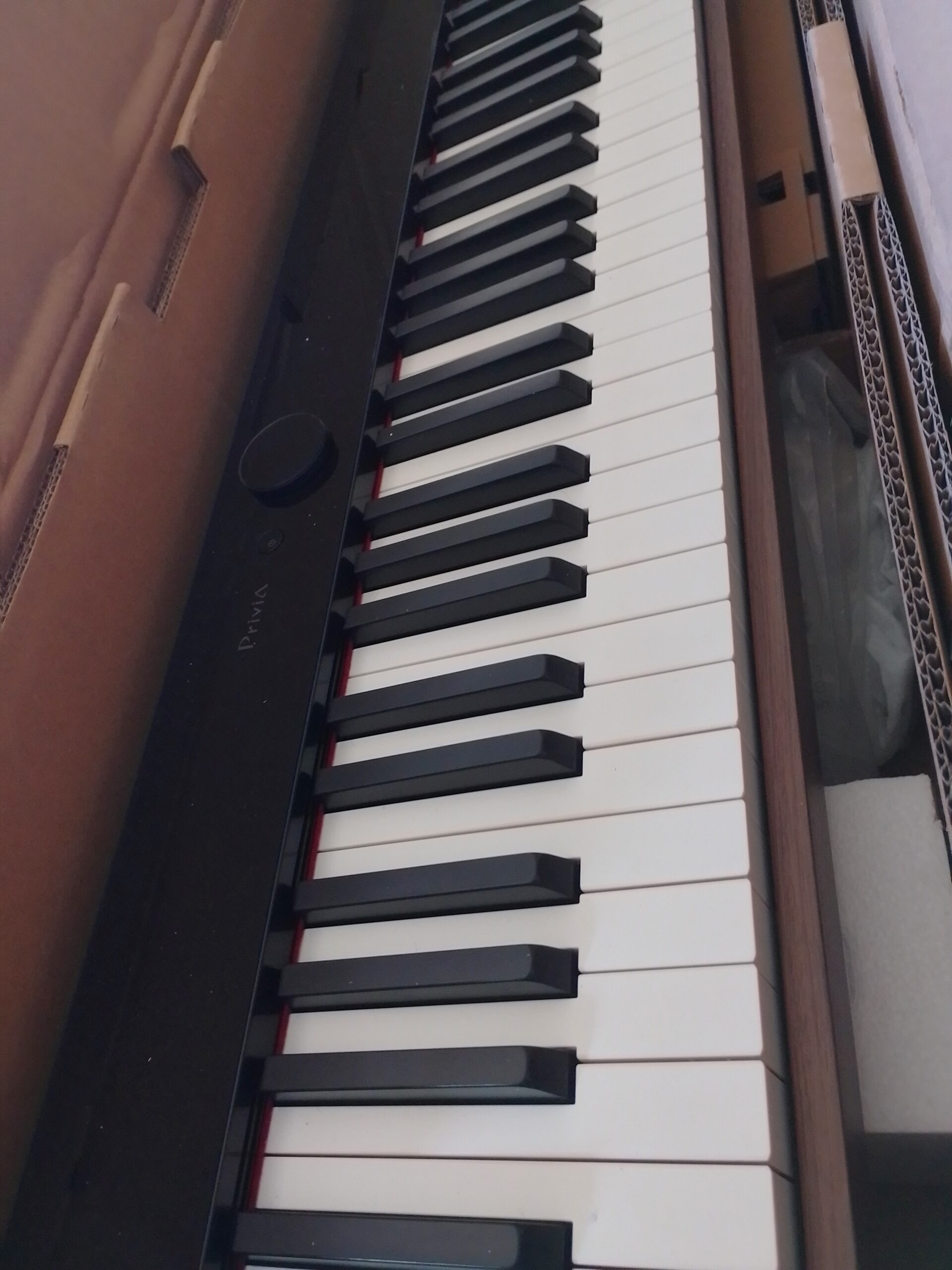 [PRODUCT REVIEW] CASIO PX-S6000 Review - Subculture Entertainment